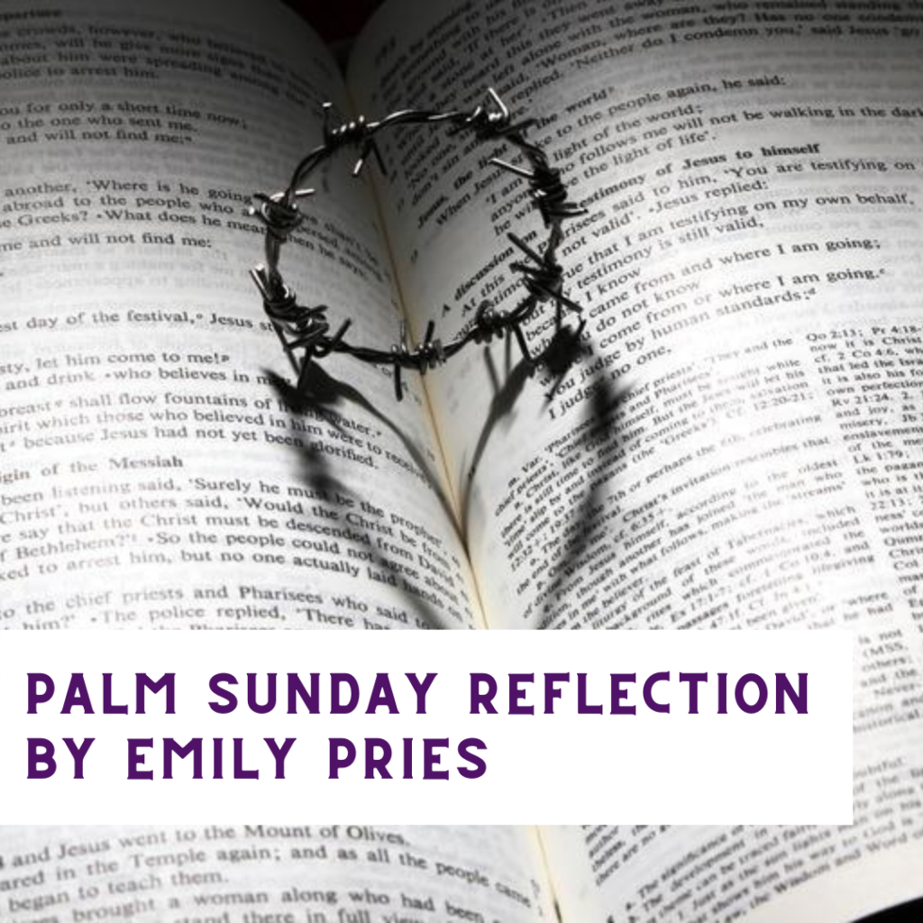 Palm Sunday reflection: Jesus’ amazing grace
